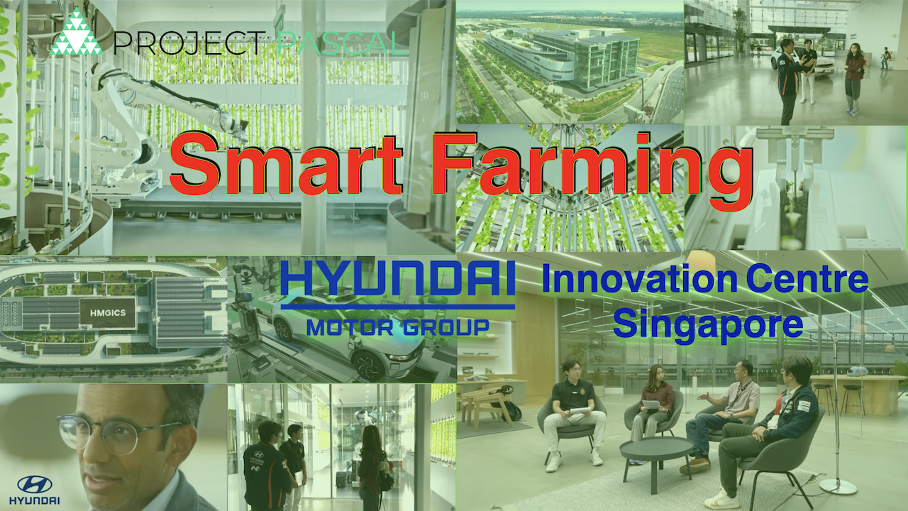 Project Pascal - Learning Beyond Boundaries